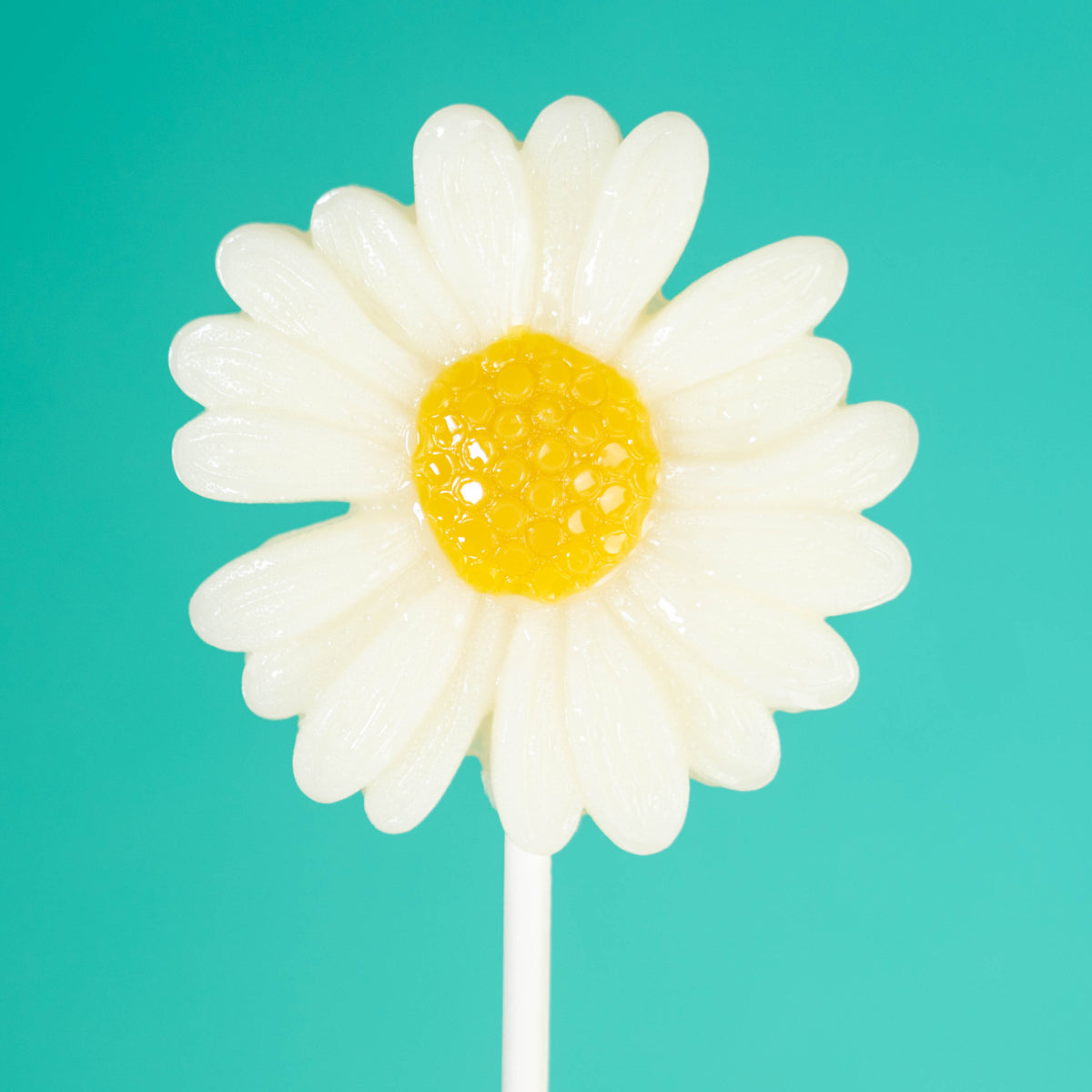 Big White Daisy Lollipops – Sparko Sweets